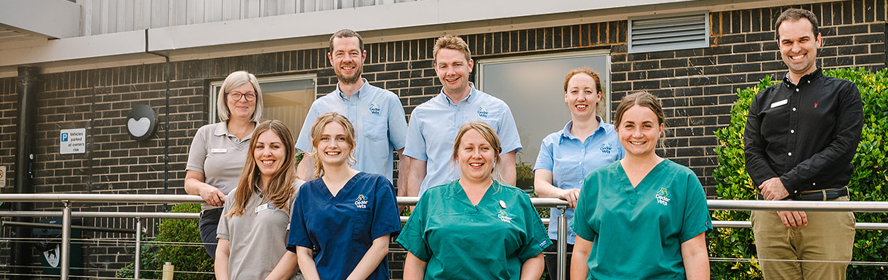 Join Our Team - : Cedar Vets