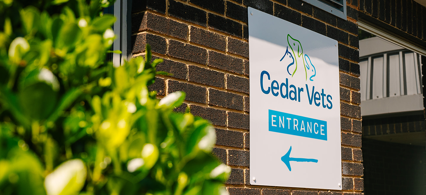 Facilities we offer in Alresford, Four Marks and Alton : Cedar Vets