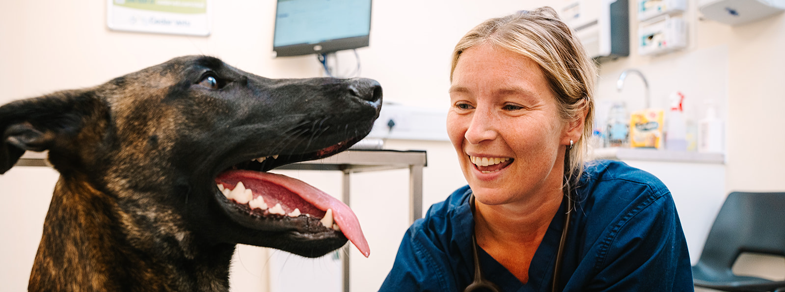 Why choose us : Cedar Vets