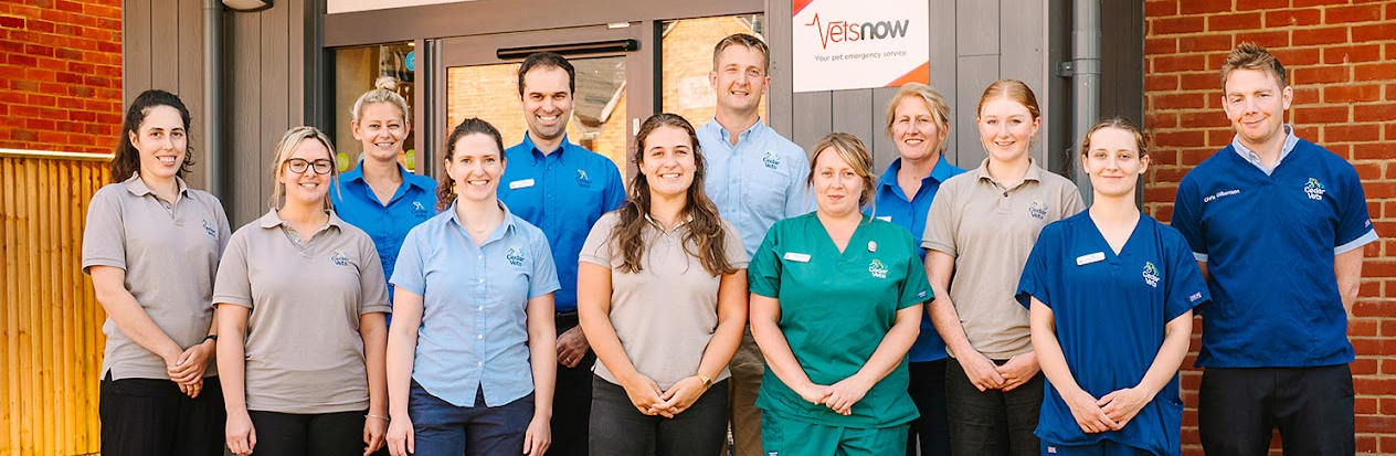 Cedar Vets Alresford | View Our Staff Members : Cedar Vets
