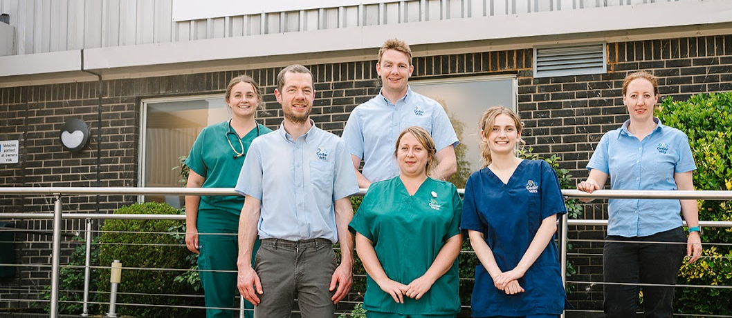 Cedar Vets Alton: Meet Our Trusted, Mixed Practice Team : Cedar Vets