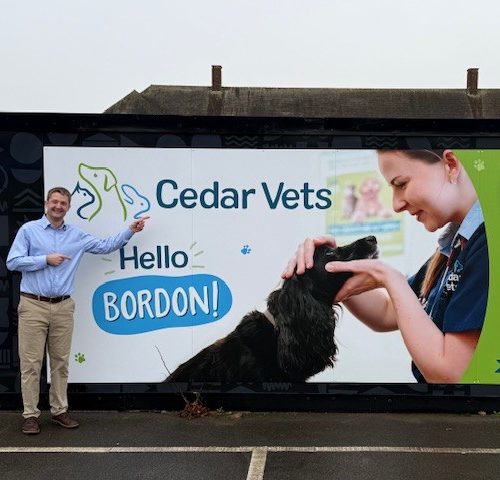 Cedar Vets | Independent Hampshire practices in Alresford, Four Marks ...