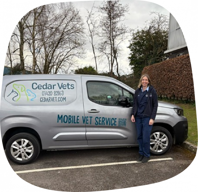 Mobile Vet Service - Our compassionate vets travel to your home : Cedar ...