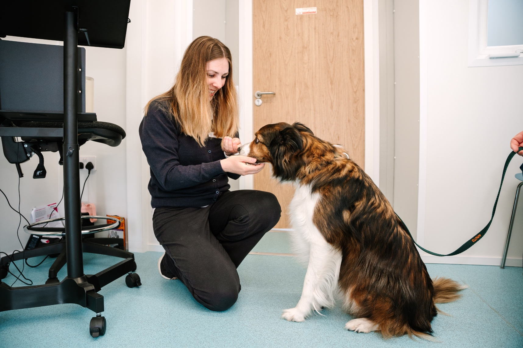 Cedar Vets Bordon - : Cedar Vets