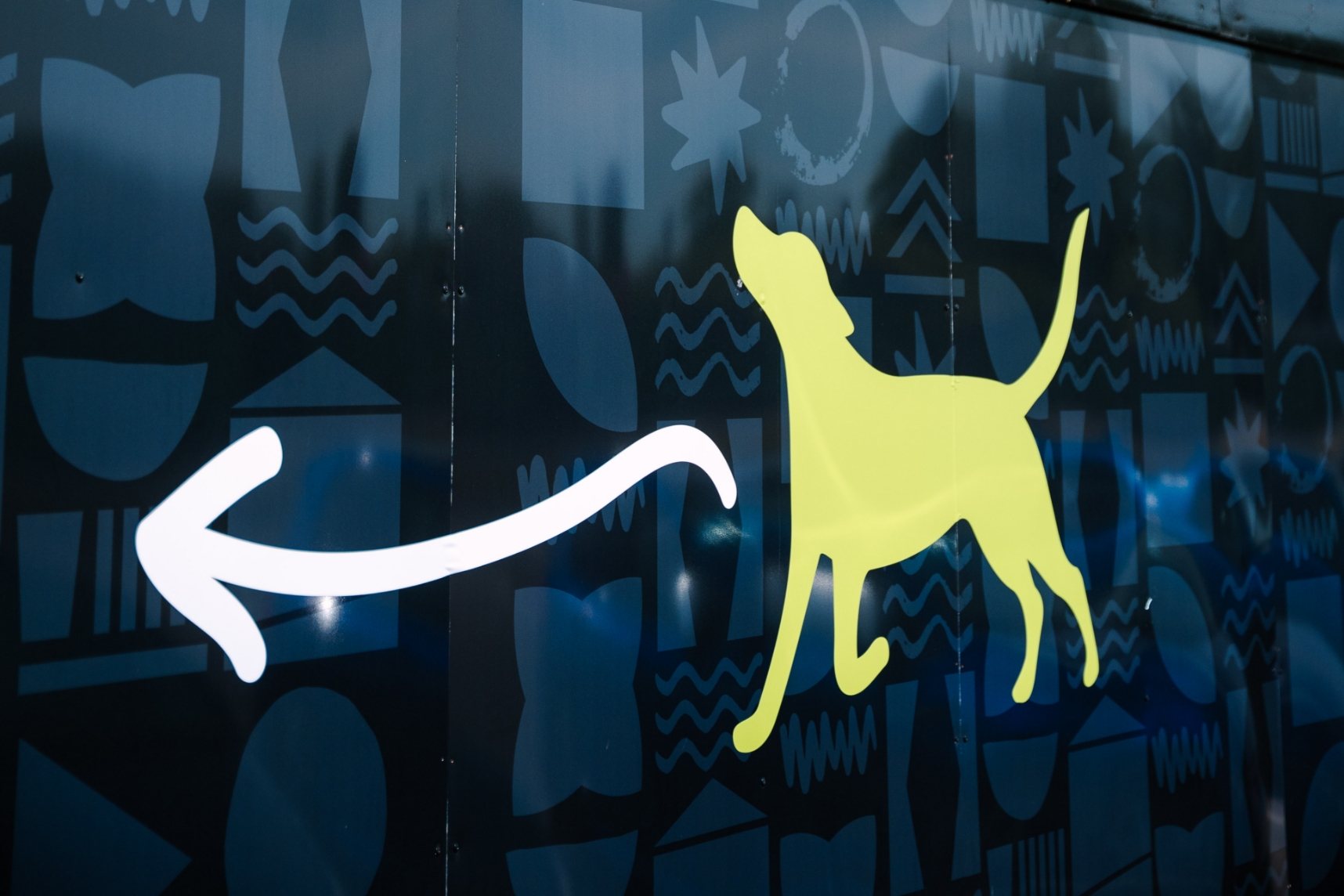 Cedar Vets Bordon - : Cedar Vets