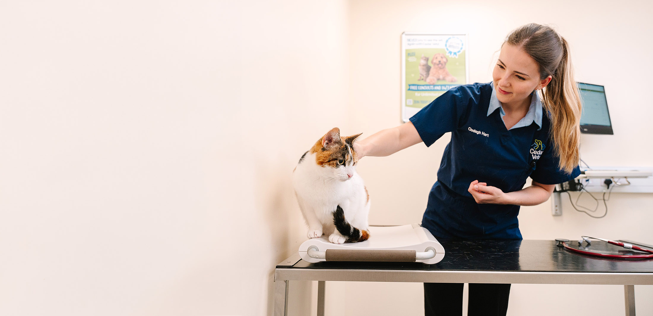 24/7 Emergency Care - : Cedar Vets